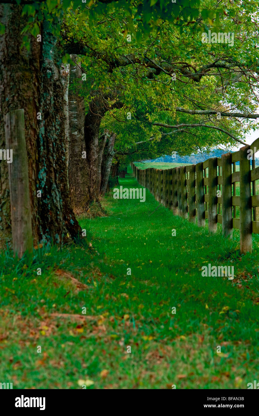 Row fence hi-res stock photography and images - Alamy
