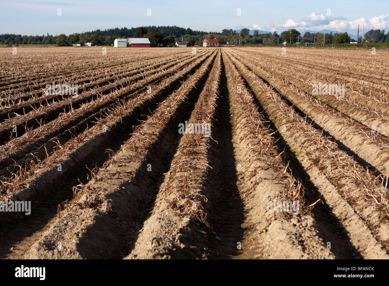 Furrows soil hi-res stock photography and images - Alamy
