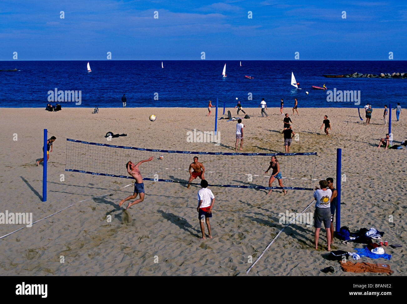 Volleyball Sport In Spanish at Cody Wray blog