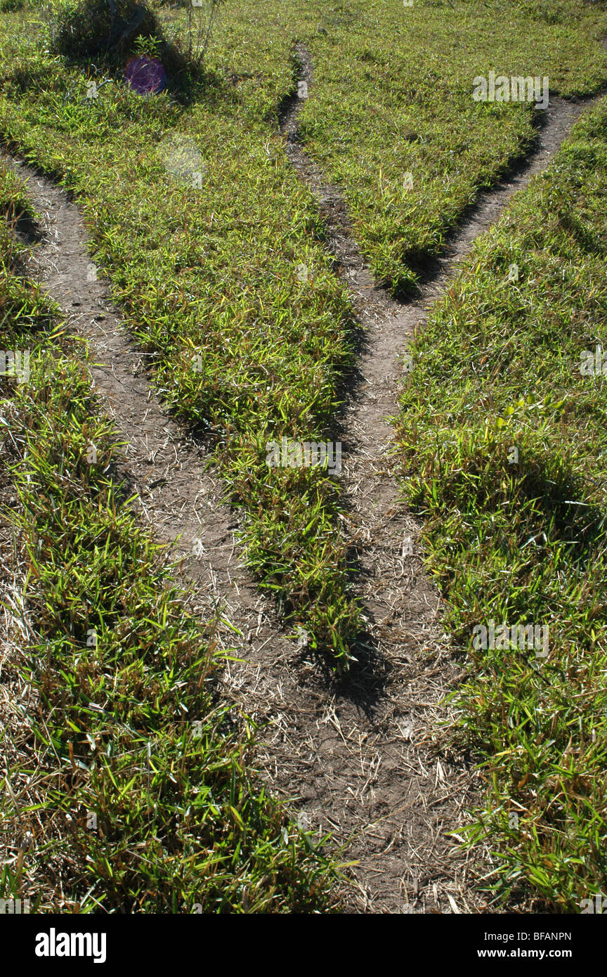 Pathways on the grass. Votorantim, Sao Paulo, Brazil 25/06/2007 Stock ...