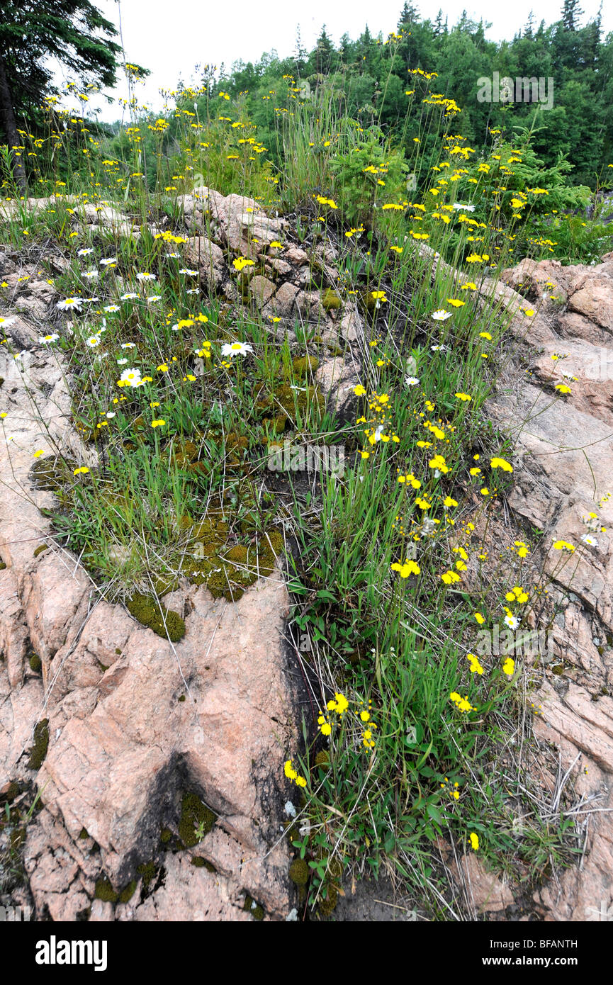 Voyageur Trail at Magpie Falls near Wawa Ontario Canada Lake Superior ...
