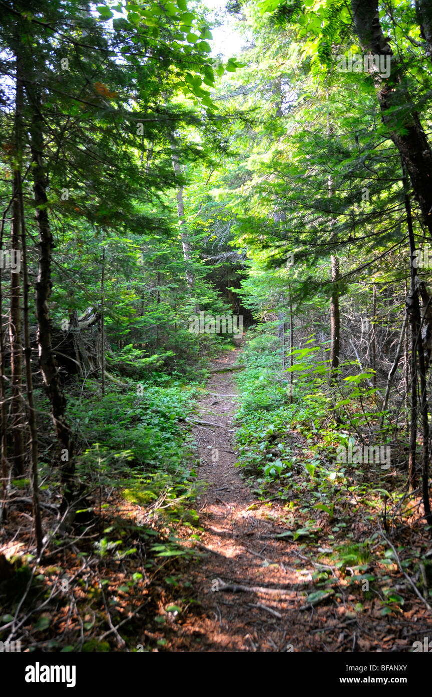 Voyageur Trail along Magpie Falls near Wawa Ontario Canada Lake ...