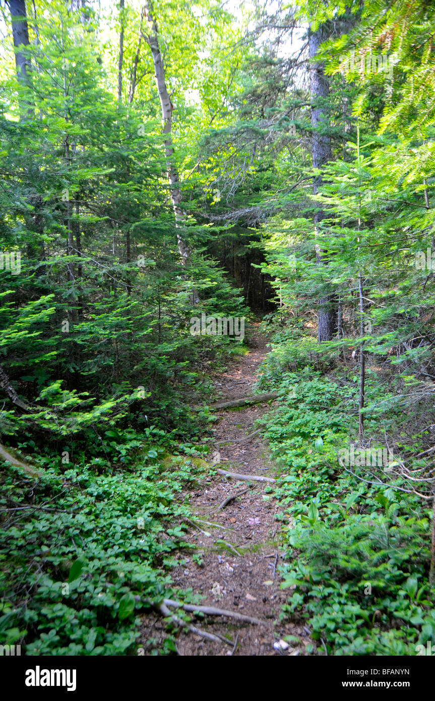 Voyageur Trail along Magpie Falls near Wawa Ontario Canada Lake ...