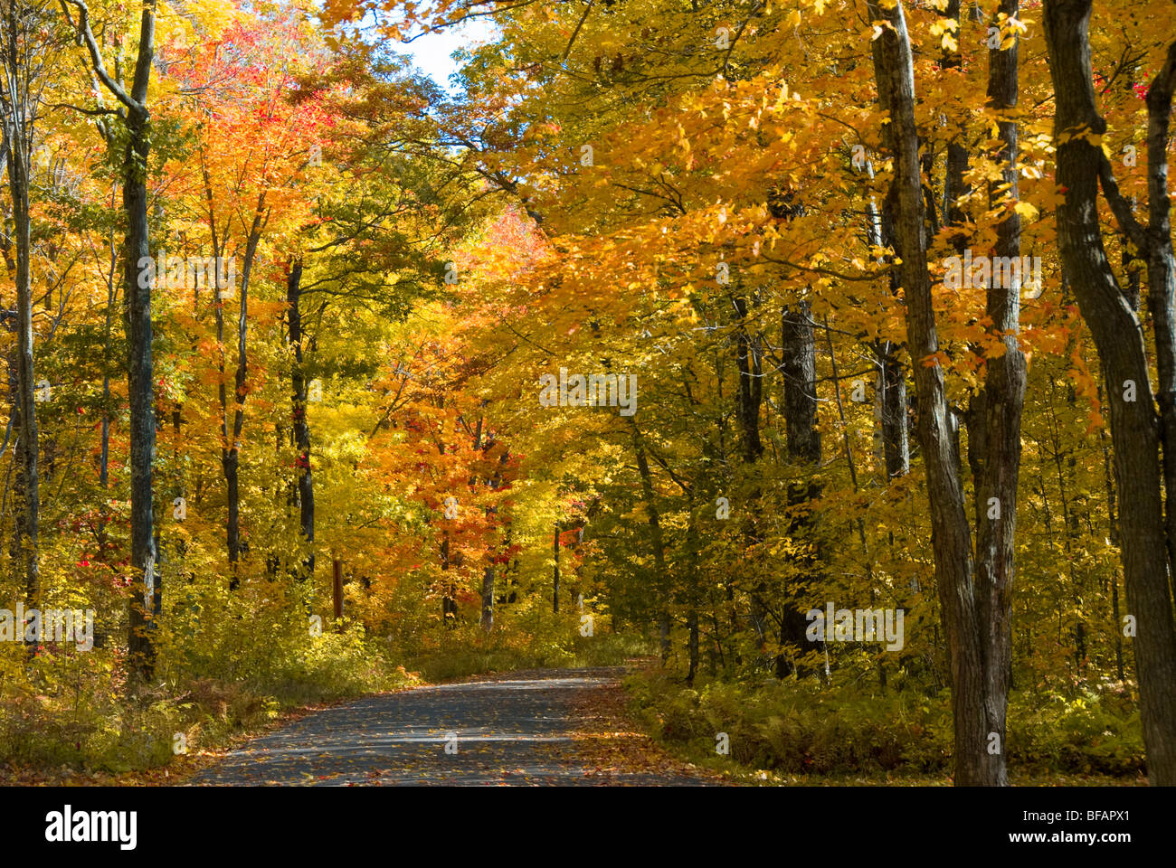 Wisconsin fall colors hi-res stock photography and images - Alamy