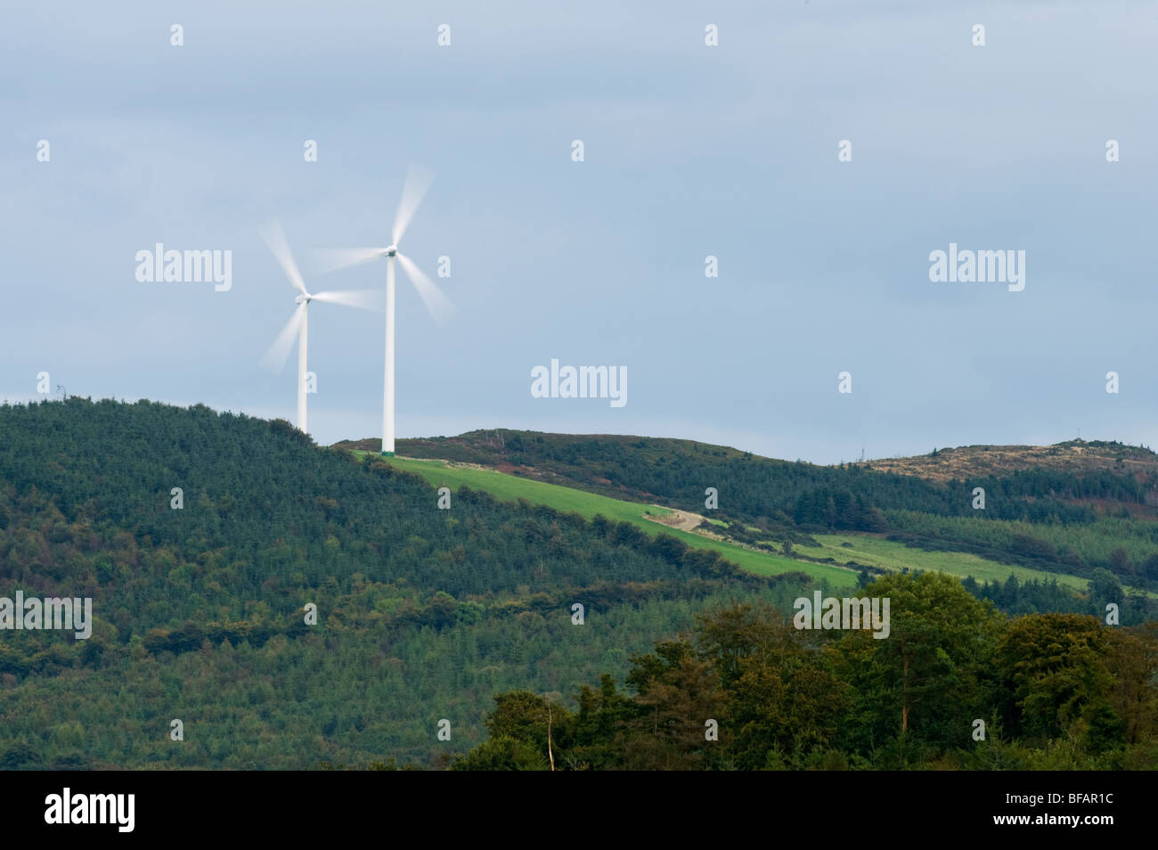 Forest woodland wind energy renewable power sustainable wind turbines ...