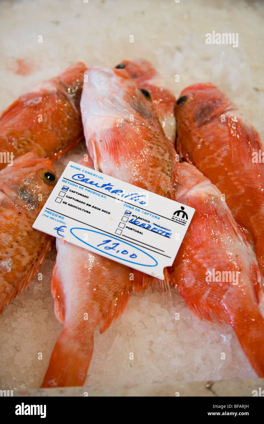 Indoor fish market hi-res stock photography and images - Alamy