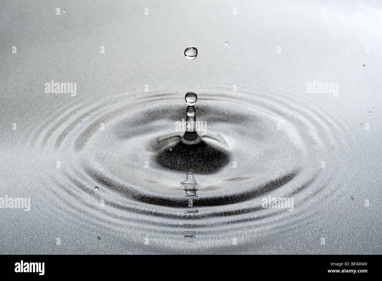 A drop of water falling into a pool forming a classic column with drops ...