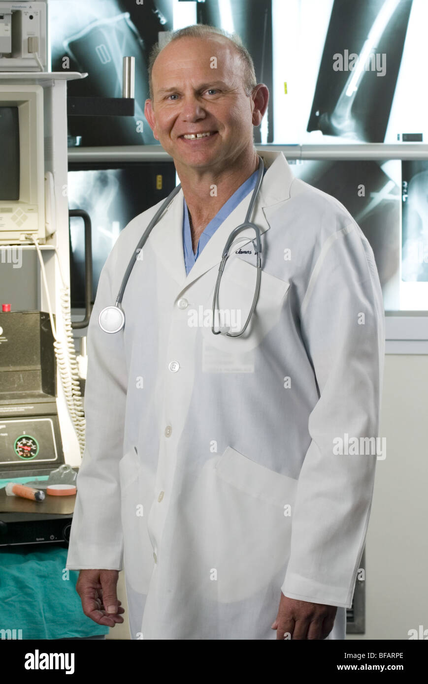 Doctor studio background, portrait, direct to camera Stock Photo - Alamy