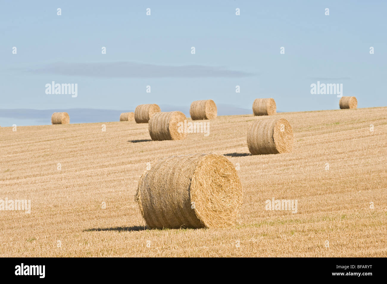 Baling straw after cereal harvest. Above Gardenstown, Scotland, UK ...