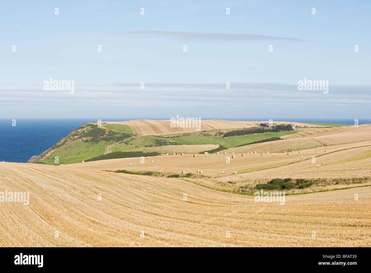 Baling straw after cereal harvest. Above Gardenstown, Scotland, UK ...
