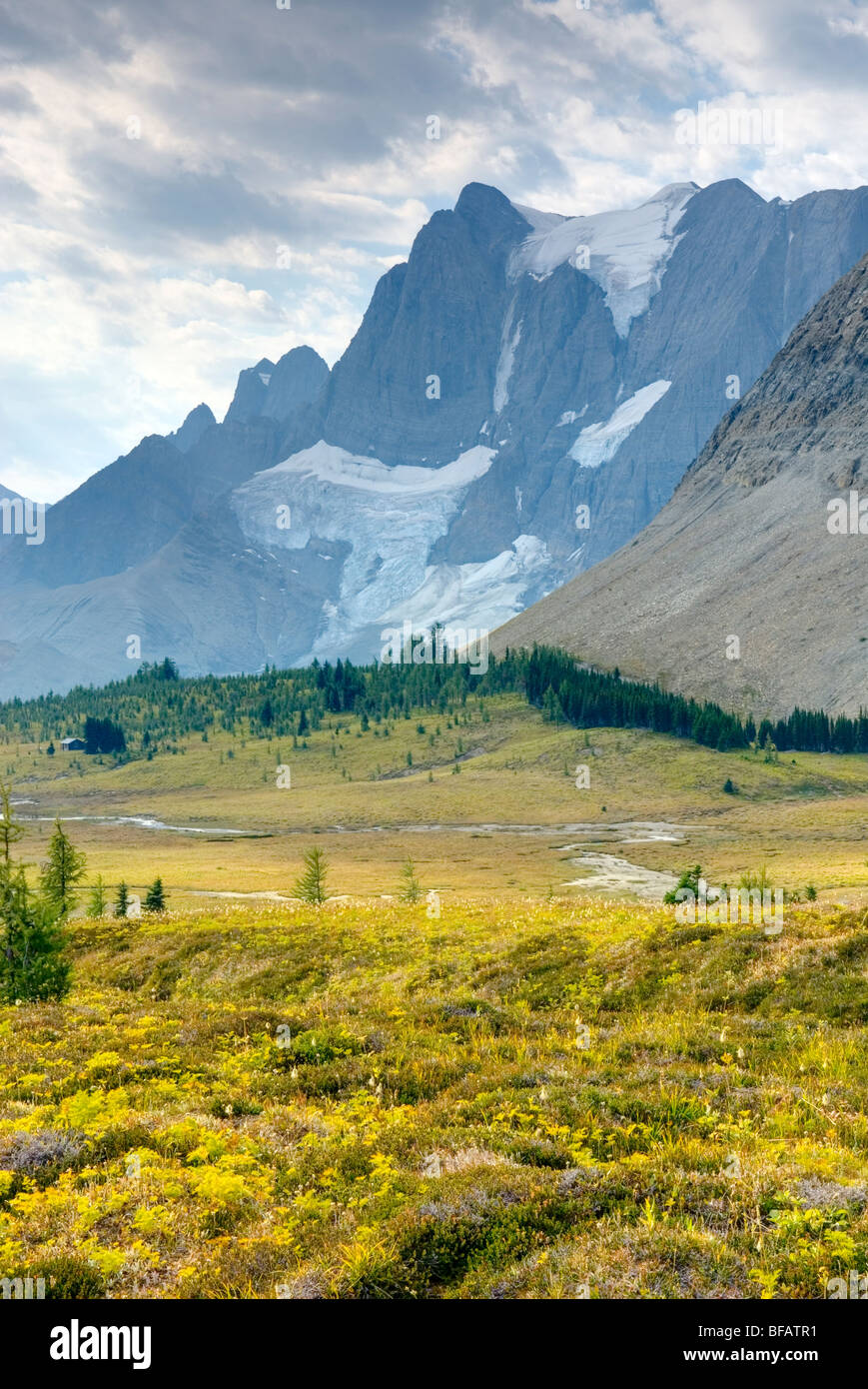 Tumbling Glacier and the Rockwall from near Wolverine Pass, Kootenay ...