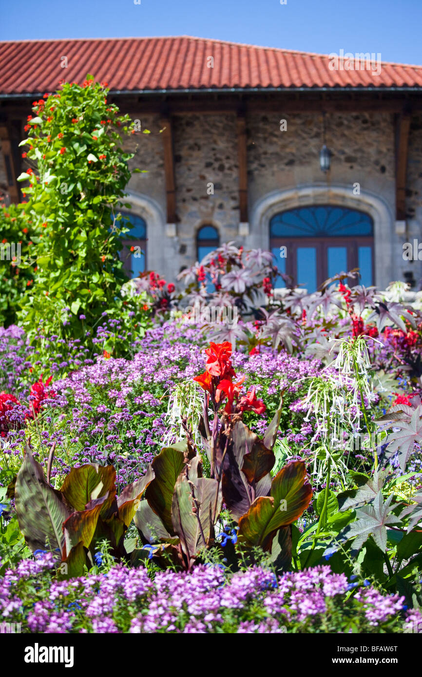 Flowers in Mont Royal Park Montreal Canada Stock Photo - Alamy