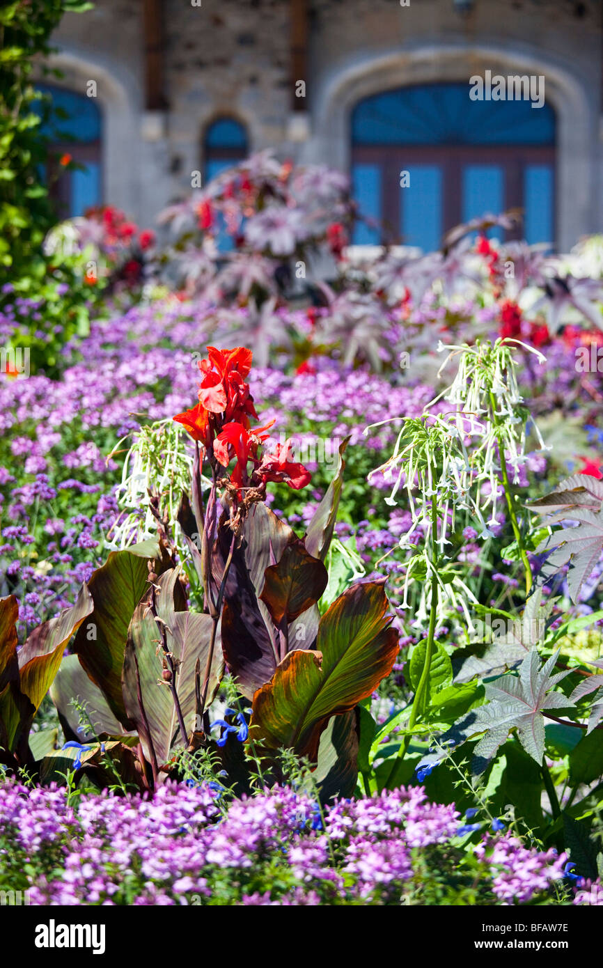 Flowers in Mont Royal Park Montreal Canada Stock Photo - Alamy