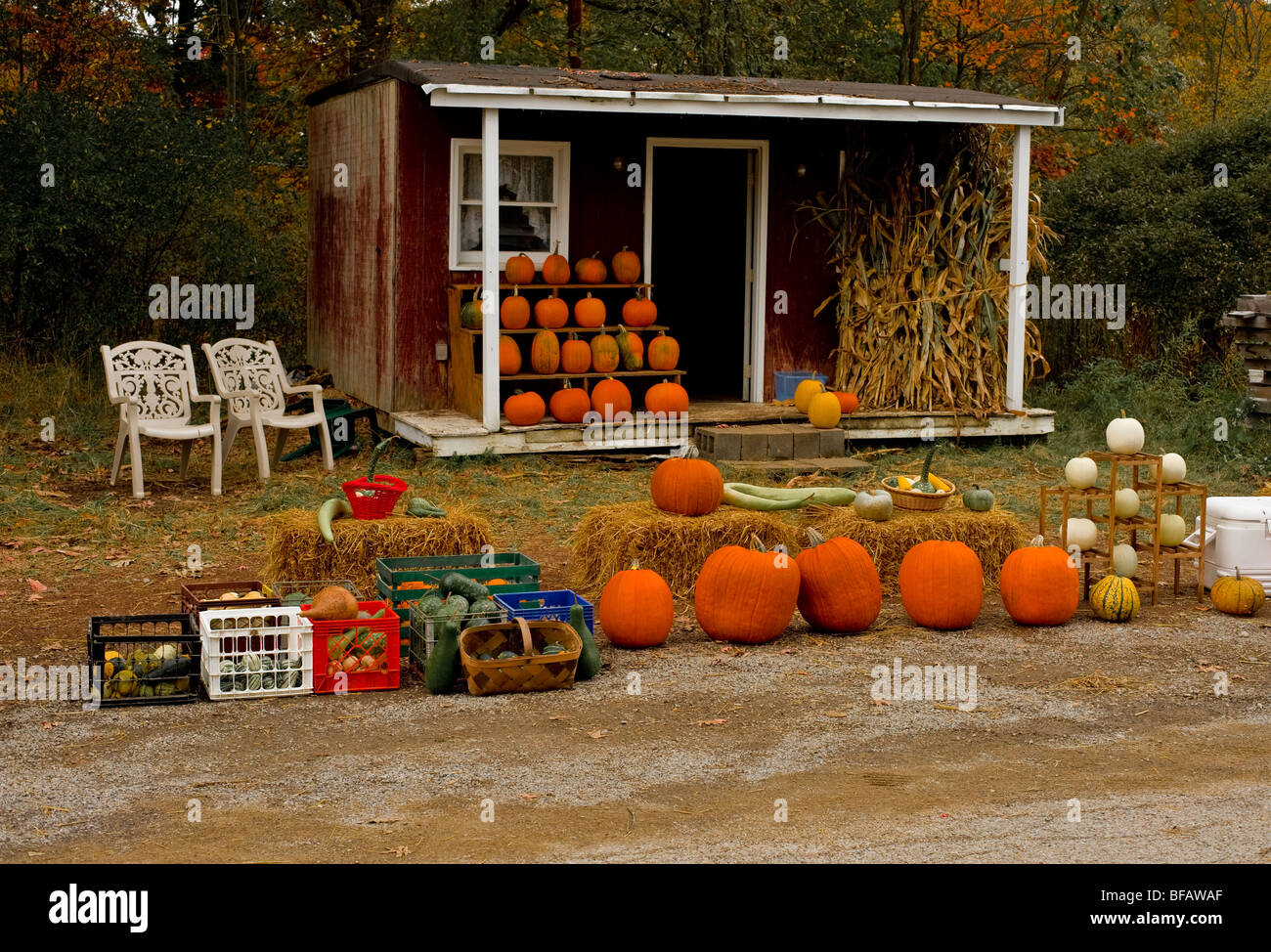 Roadside cabin hi-res stock photography and images - Alamy