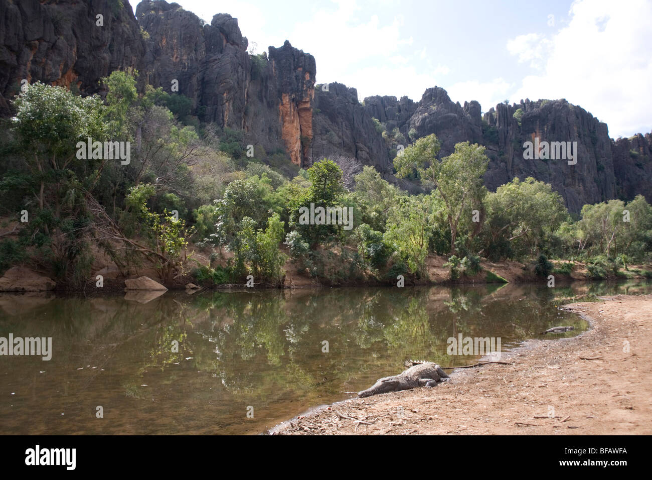 Windjana gorge with fresh water crocodile close to Gibb River Road the ...