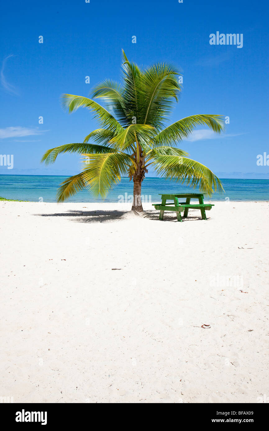 Pigeon Point Beach in Tobago Stock Photo - Alamy