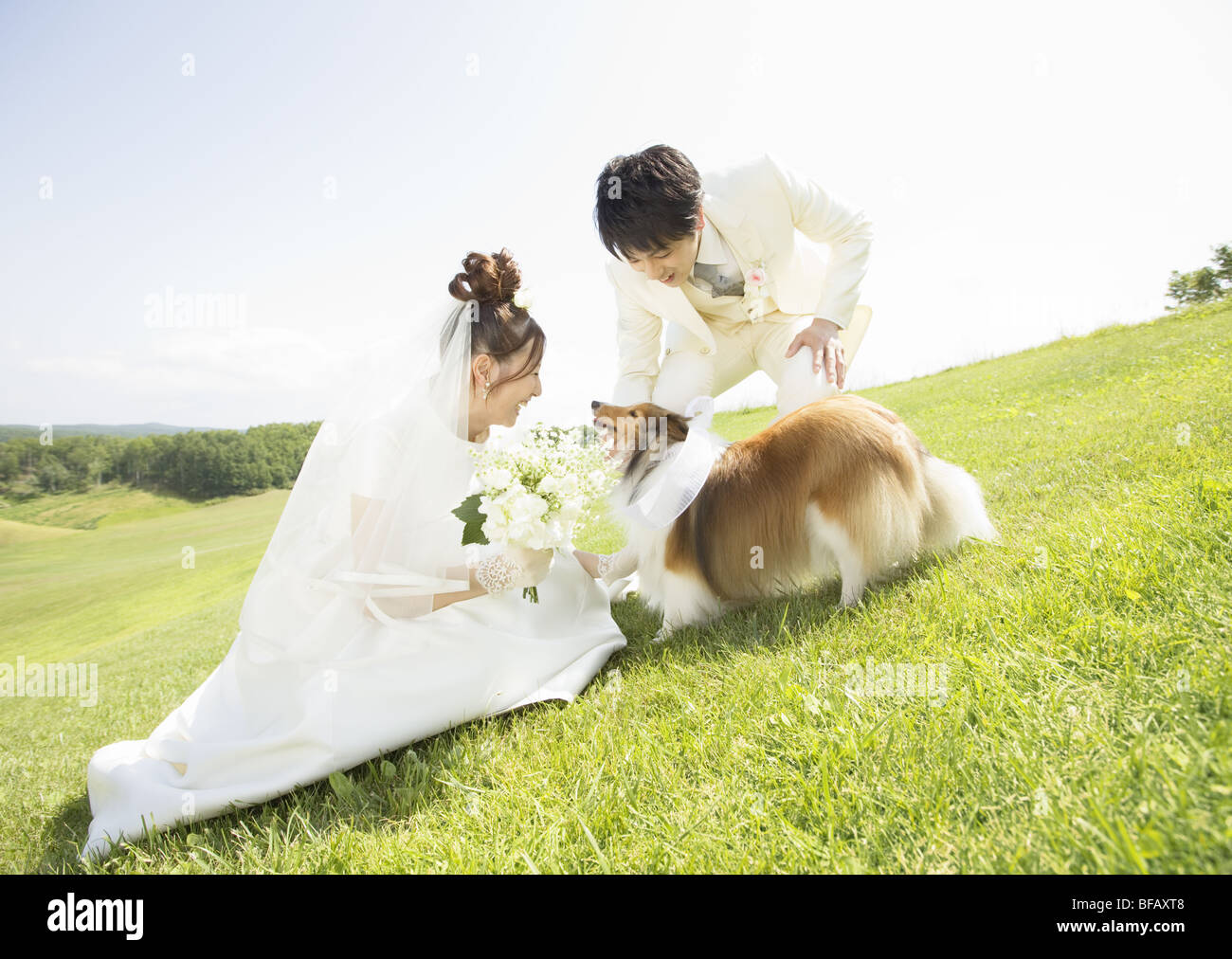 Dog and bridal couple Stock Photo - Alamy