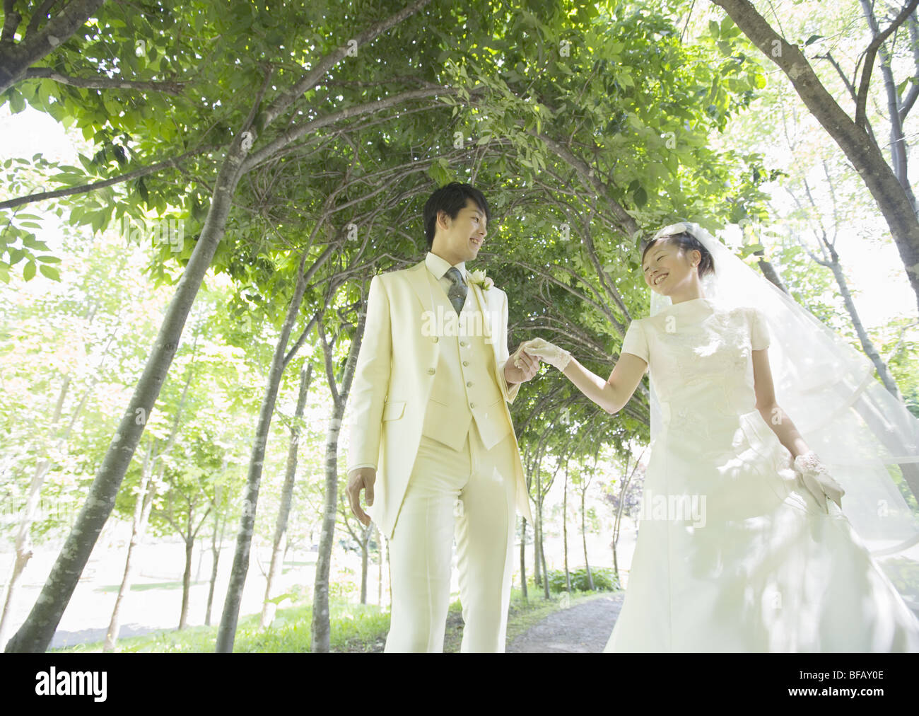 Bridal couple holding hands Stock Photo - Alamy