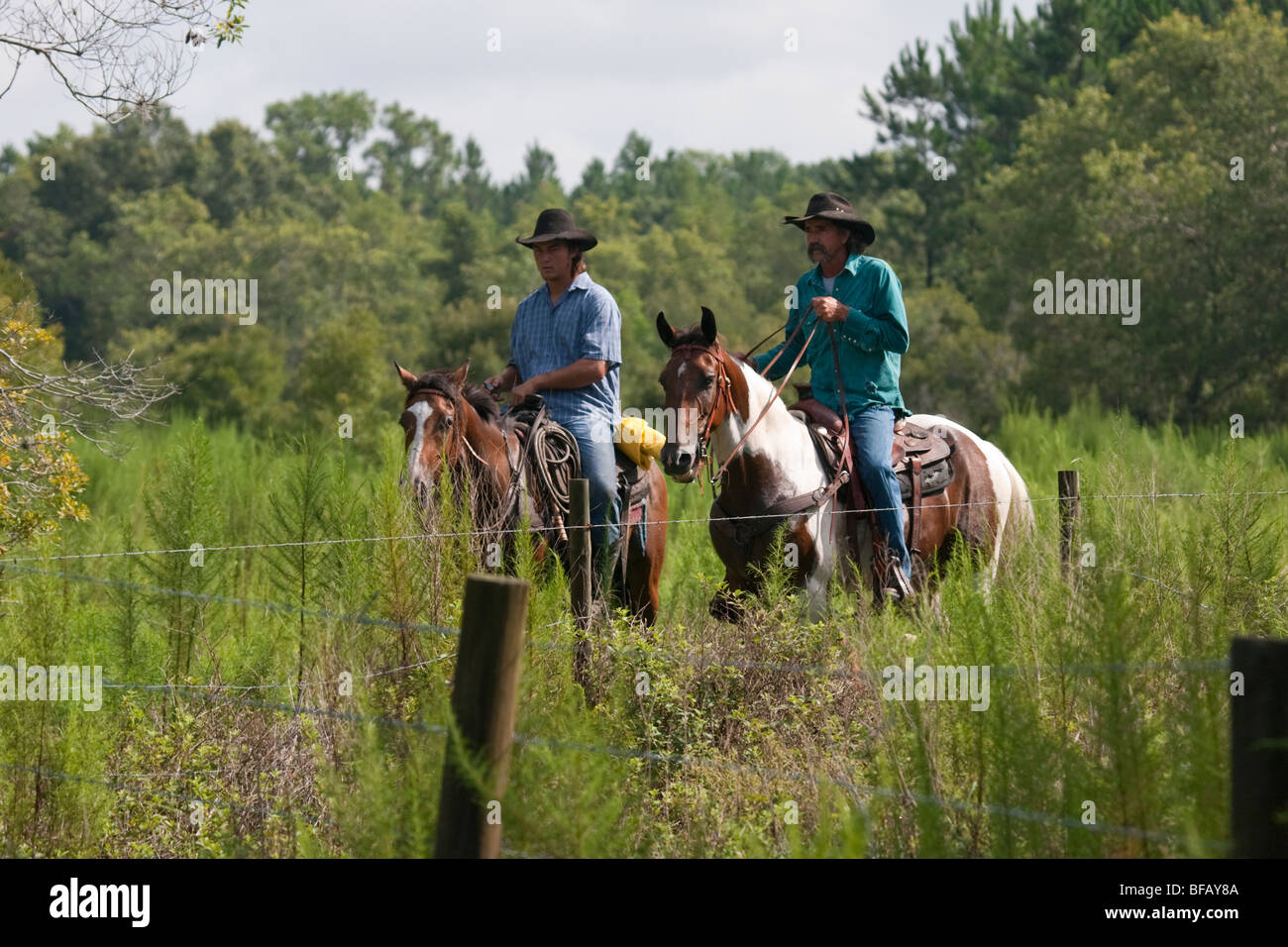 Florida Cracker High Resolution Stock Photography and Images - Alamy