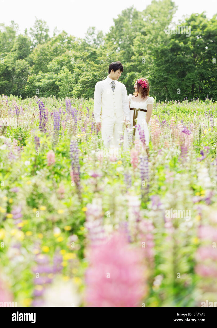 Bridal couple at a field of flowers Stock Photo - Alamy