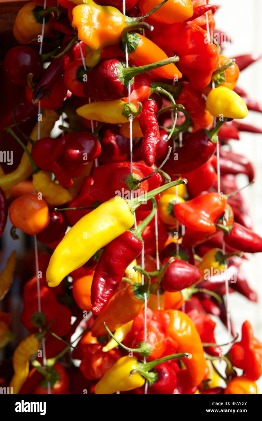 Chilli strings hi-res stock photography and images - Alamy