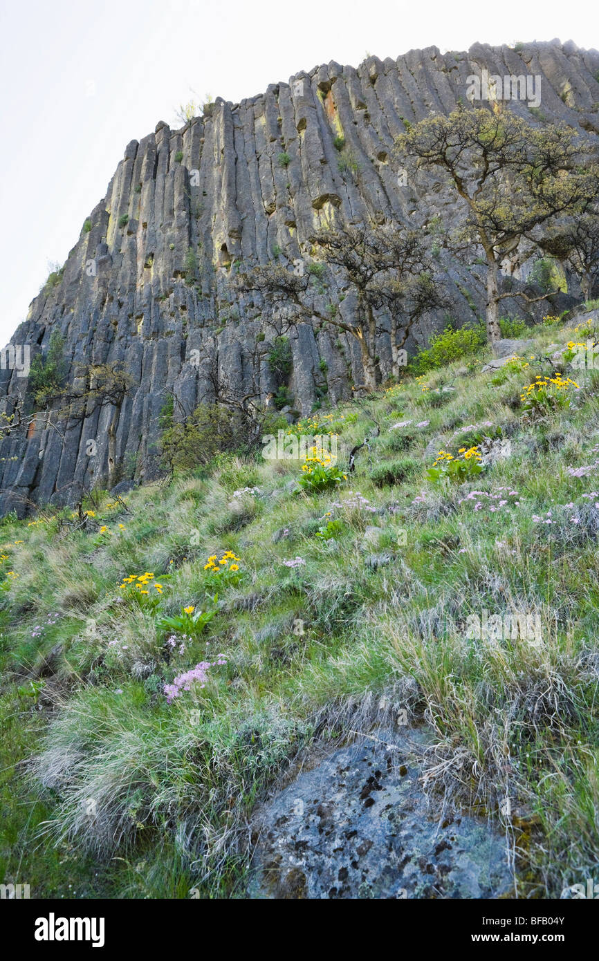Hillside and Andesite cliff columns at The Bend climbing area in Tieton ...