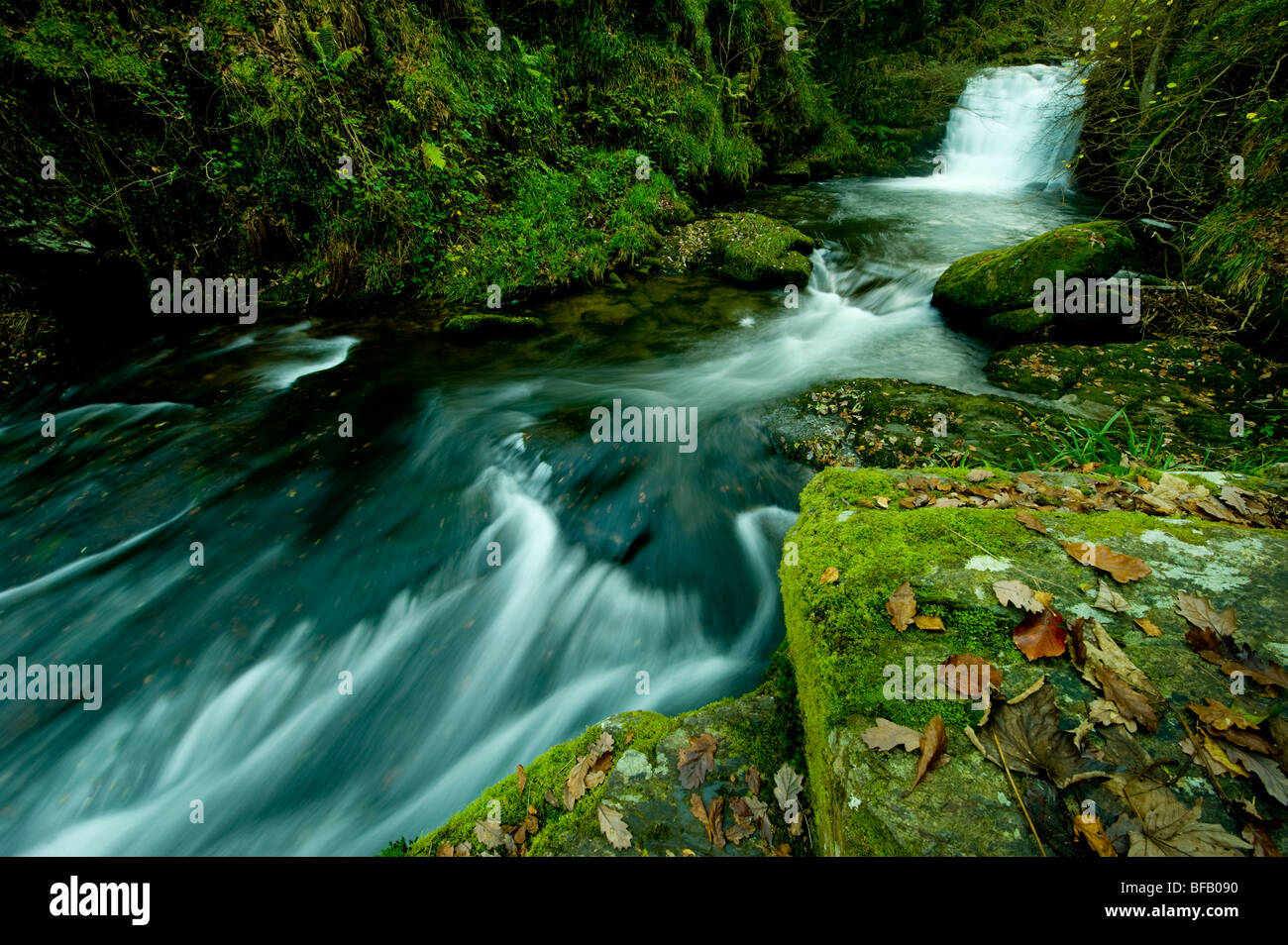 The waterfall at farley water meeting the river lyn in full spate after ...