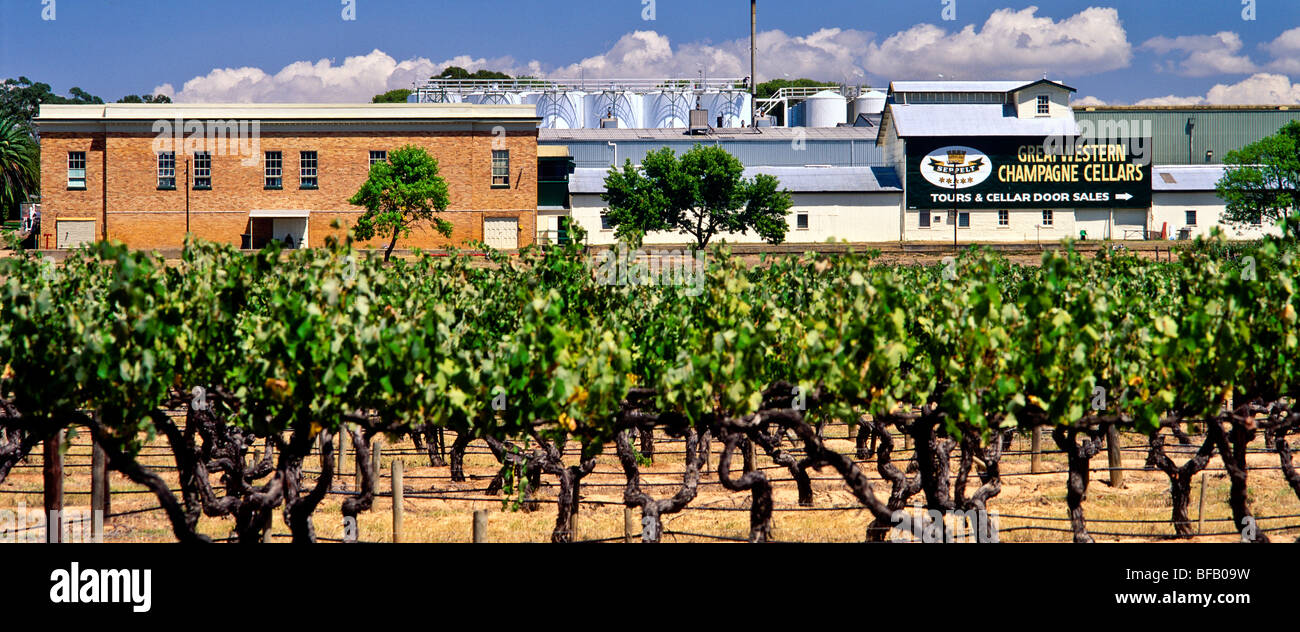 Winery, Victoria, Australia Stock Photo - Alamy