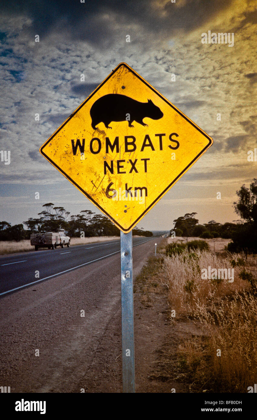 Wombat profile silhouette hi-res stock photography and images - Alamy