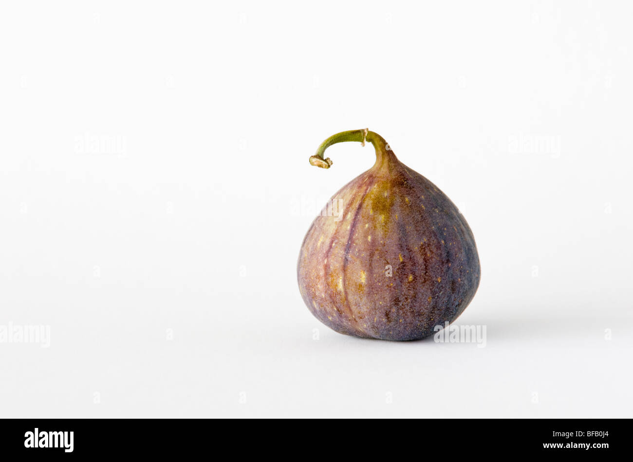 One whole light fresh hi-res stock photography and images - Alamy