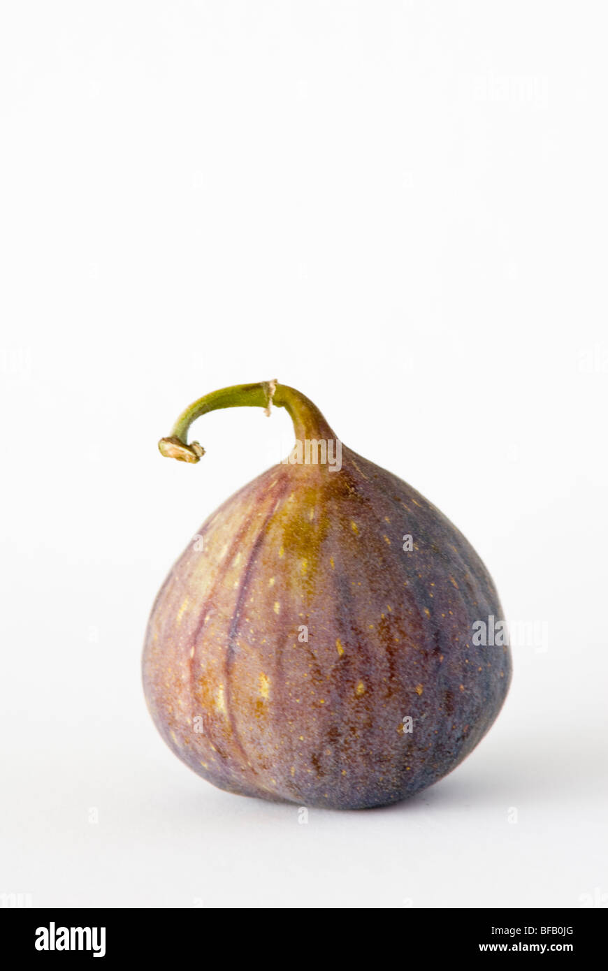 single fresh figs on a white background Stock Photo - Alamy