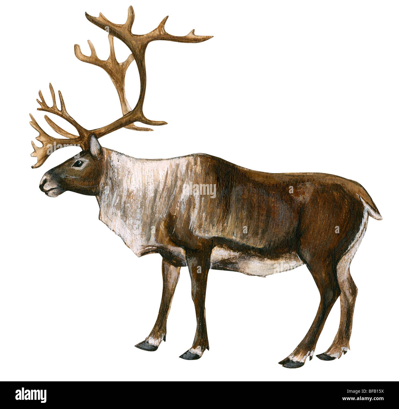 Mountain drawing hi-res stock photography and images - Alamy