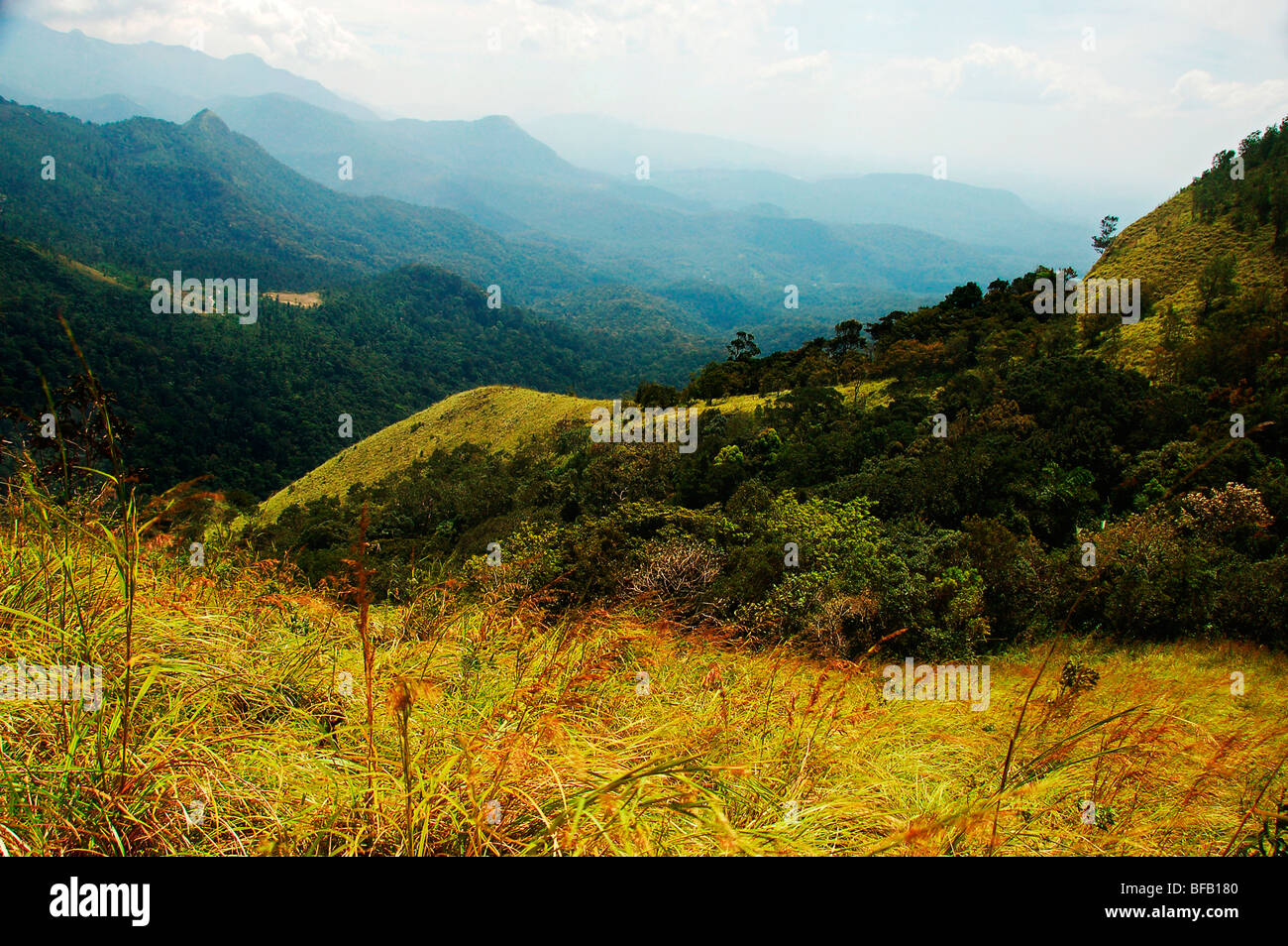 Ponmudi Stock Photos & Ponmudi Stock Images - Alamy