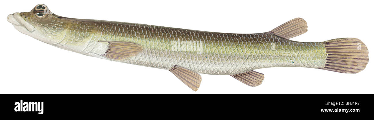 Four illustrations hi-res stock photography and images - Alamy