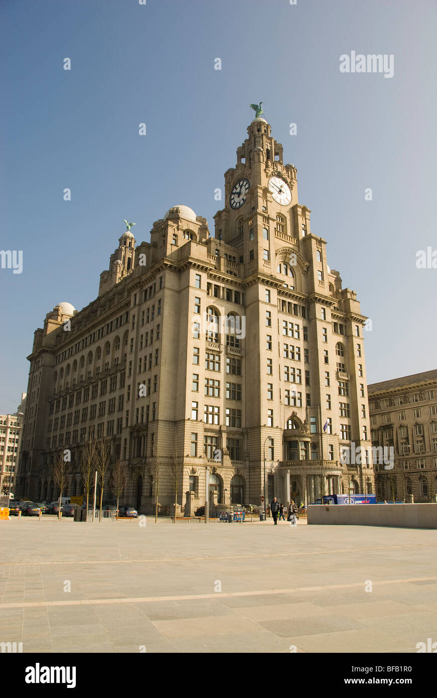 Liver offices hi-res stock photography and images - Alamy