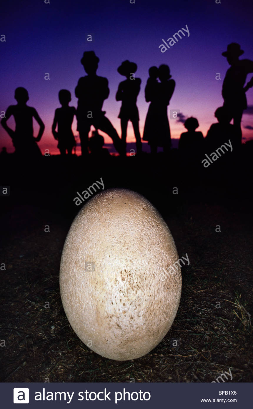 Aepyornis Stock Photos & Aepyornis Stock Images - Alamy