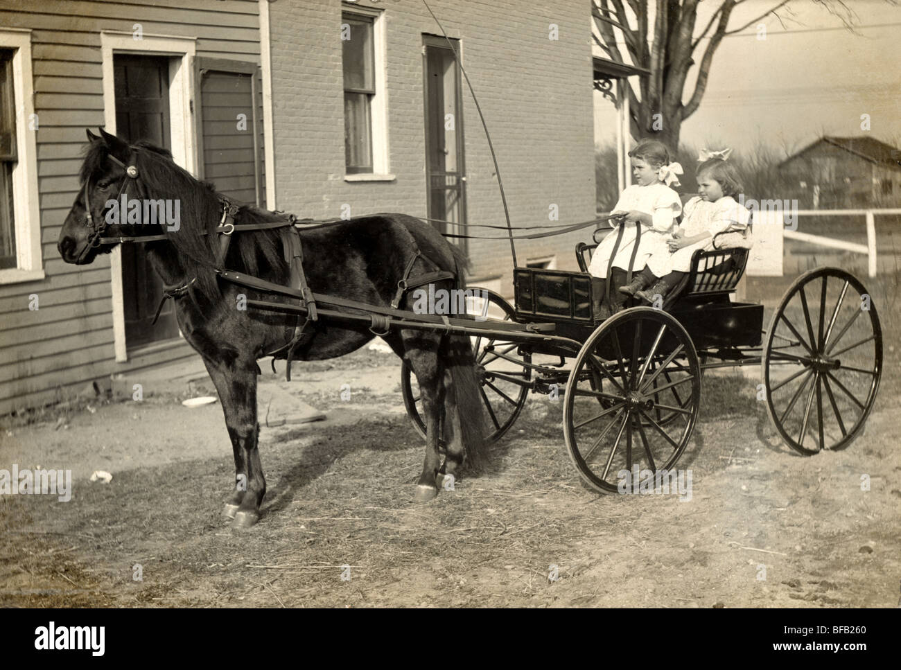 How To Drive A Horse Drawn Carriage at Barbara Keeter blog
