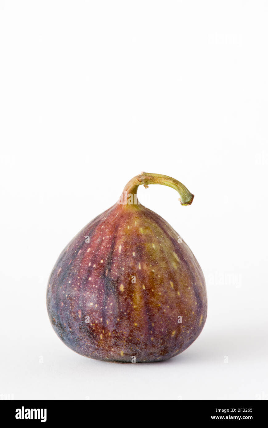 Single fresh fig on a white background Stock Photo - Alamy