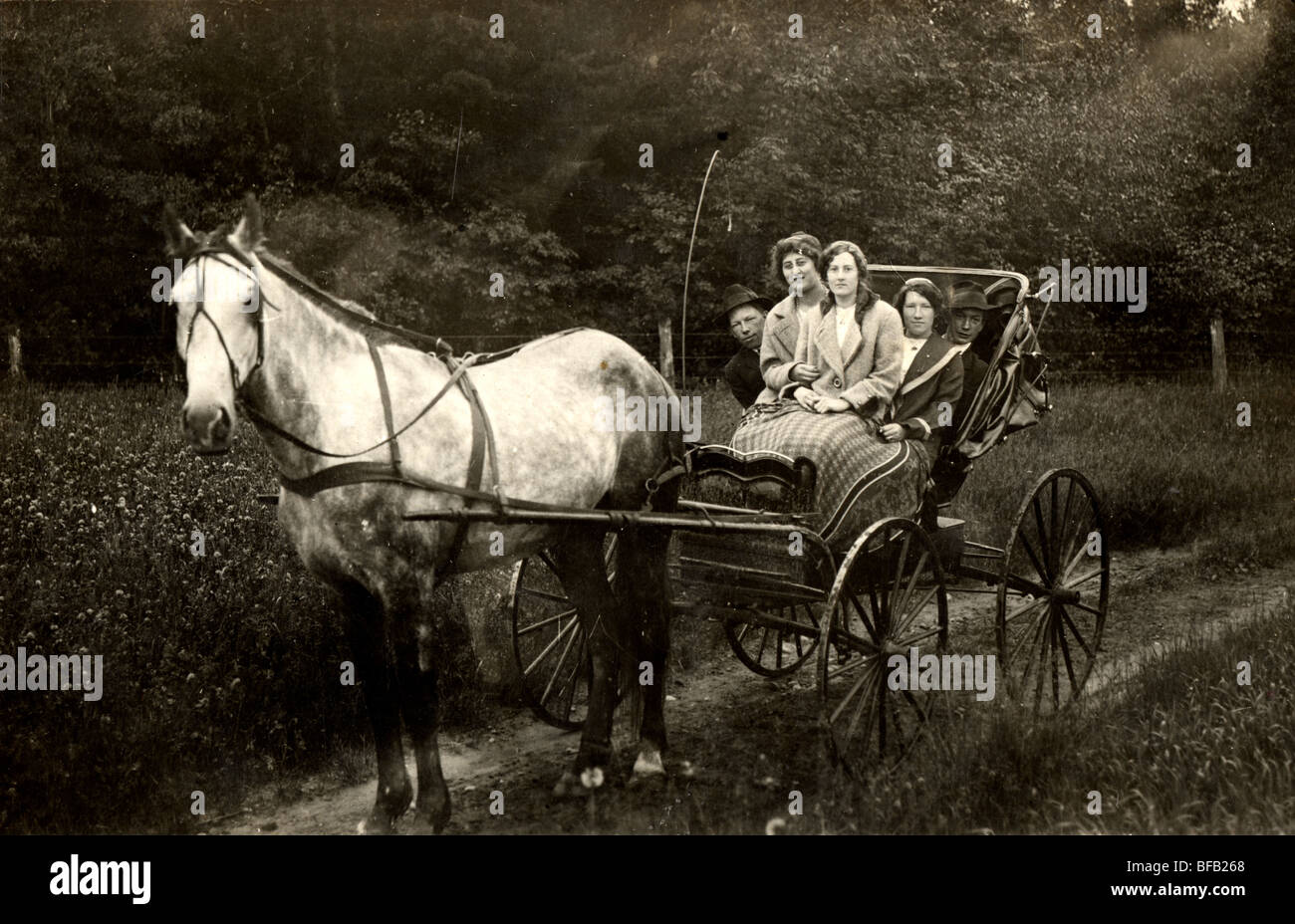 Carriage horse drawn transport whip hi-res stock photography and images ...