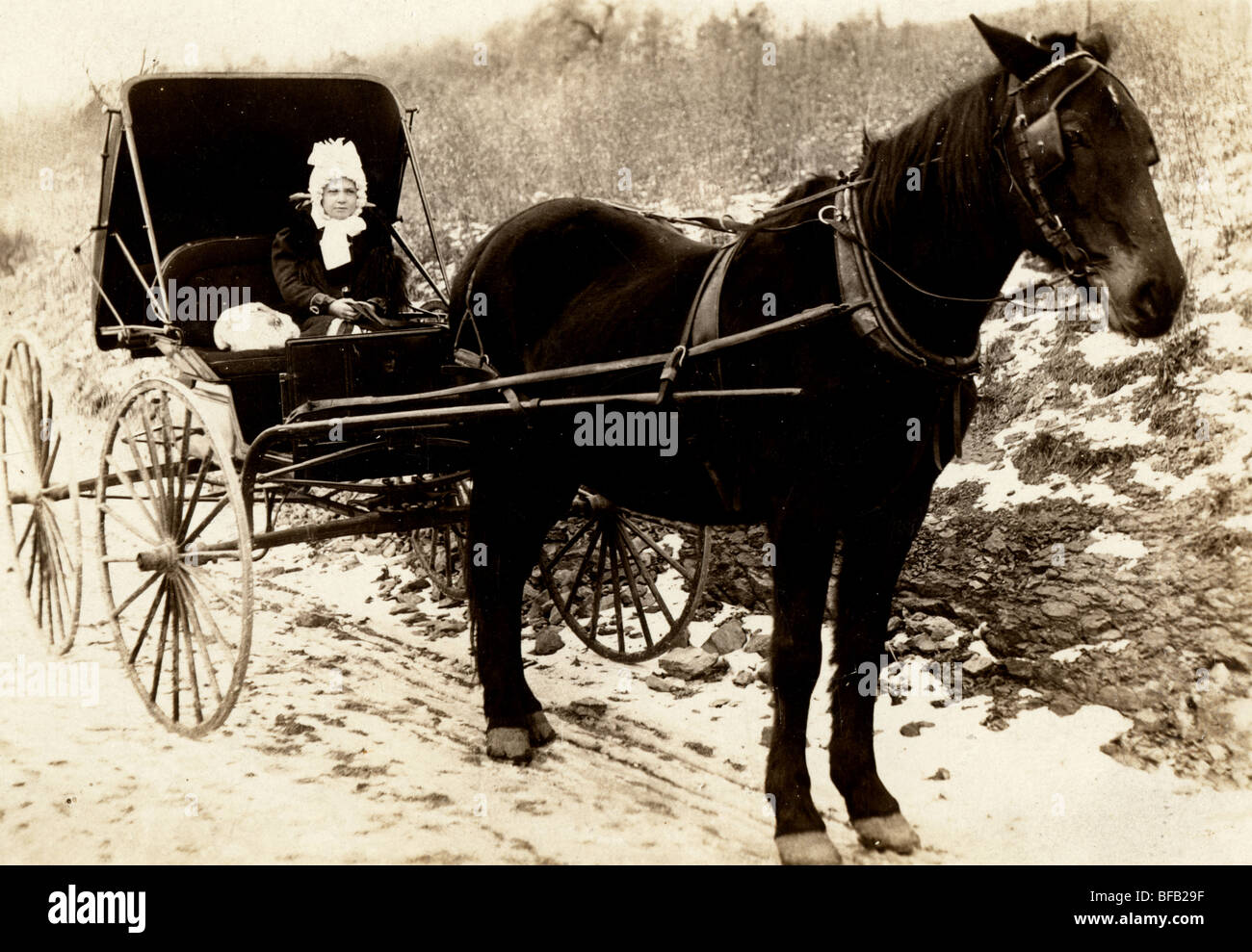 Little Girl Driving Horse Drawn Carriage Stock Photo - Alamy