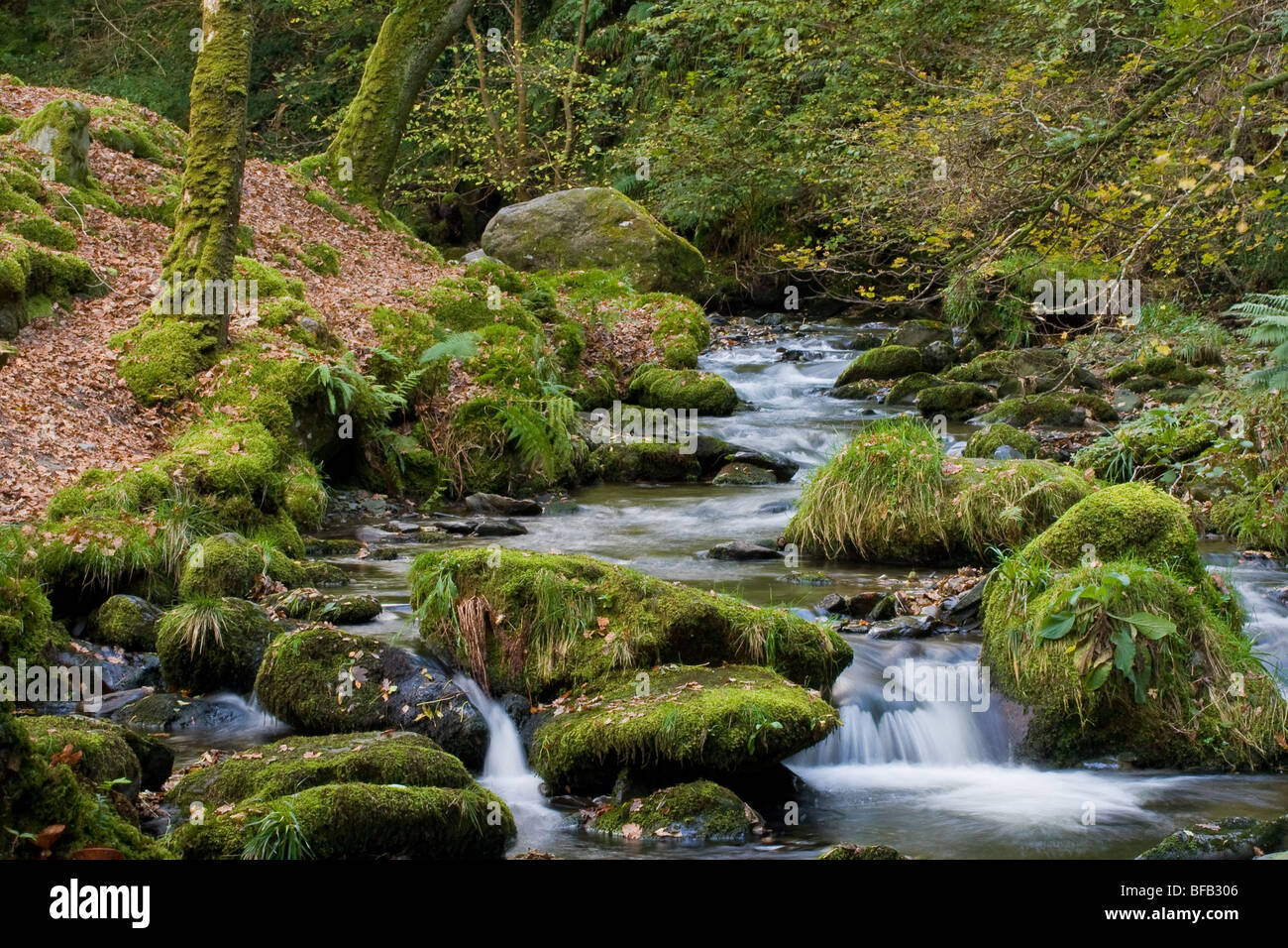 Mossy Rocks and stream Stock Photo - Alamy