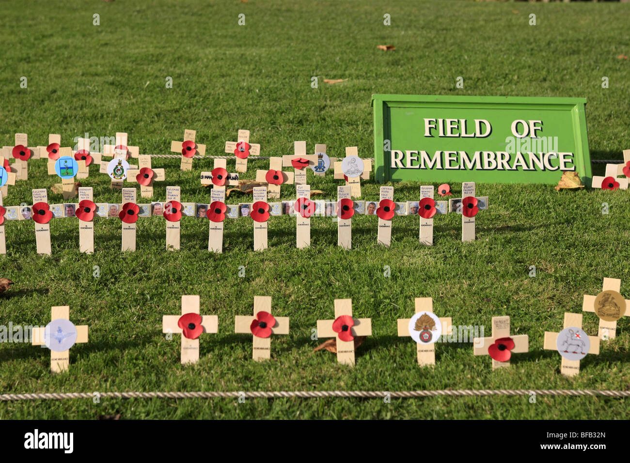 Field of Remembrance - November 11 Armistice Day Stock Photo - Alamy