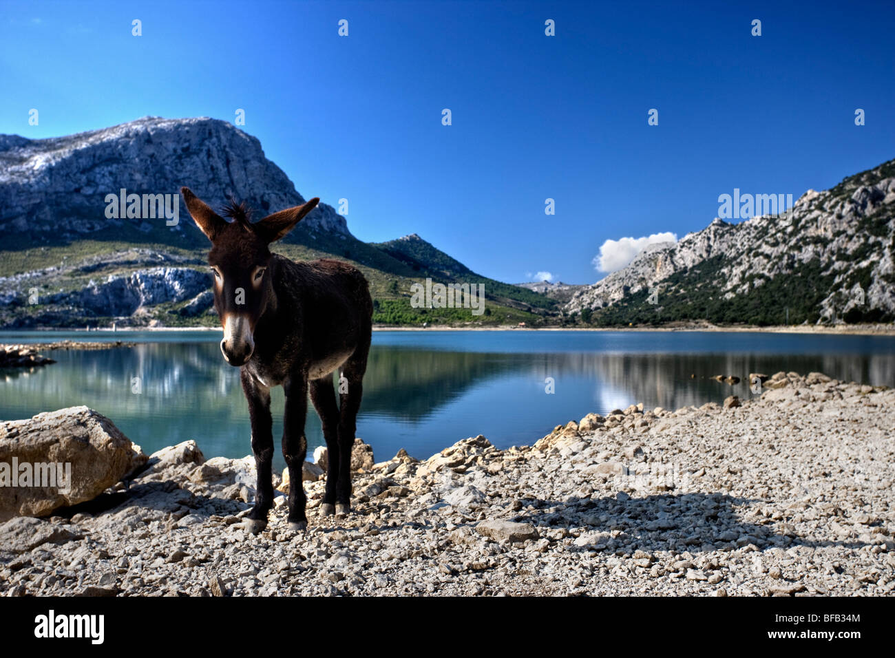 The GR-221 Walking Route - Donkey, Cuber Lake, Tramuntana Mountains ...