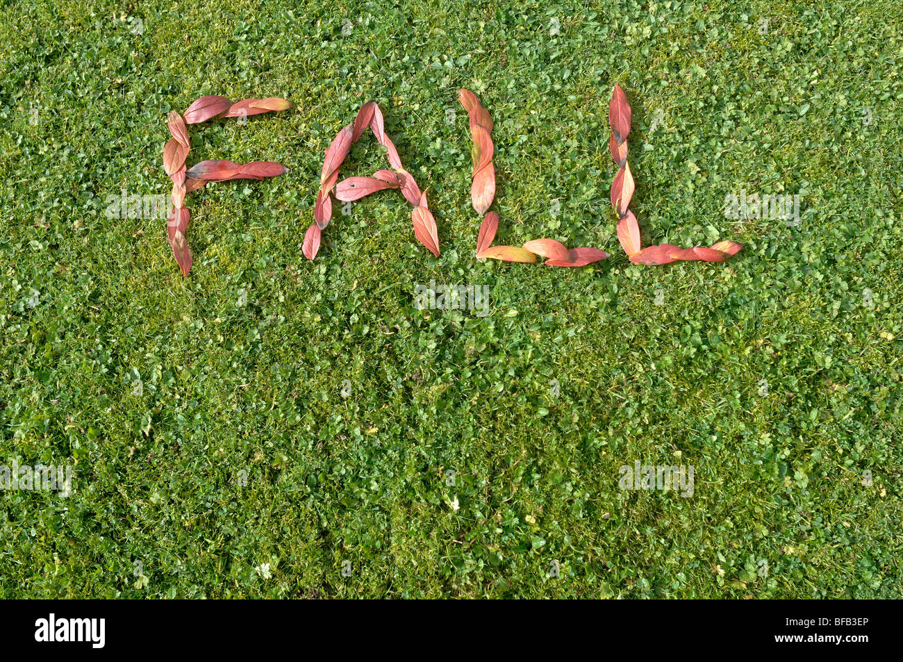 Leaf Words - John Gollop Stock Photo - Alamy