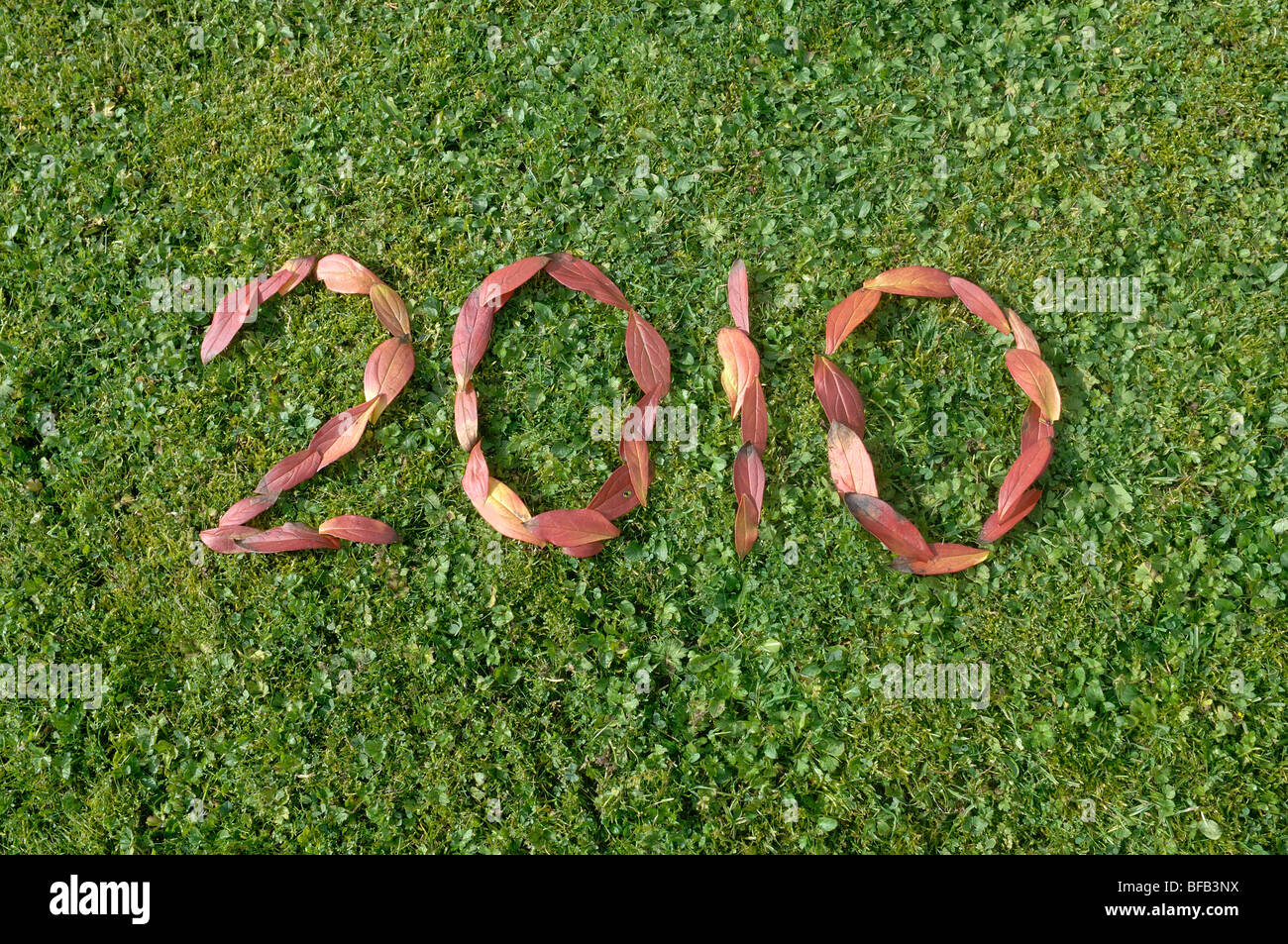 Leaves with word hi-res stock photography and images - Alamy