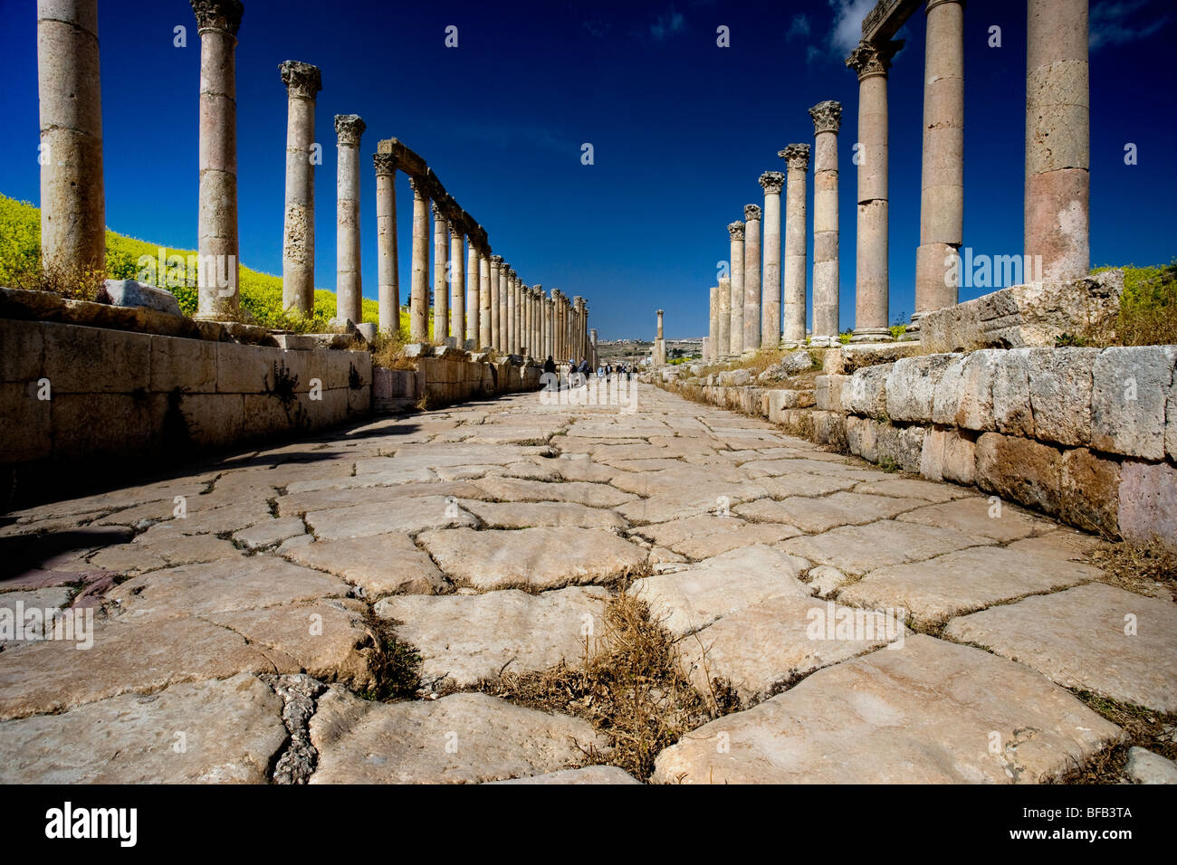 Gilead jordan hi-res stock photography and images - Alamy