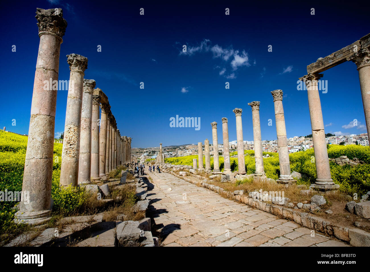 Jerash roman pillars hi-res stock photography and images - Alamy