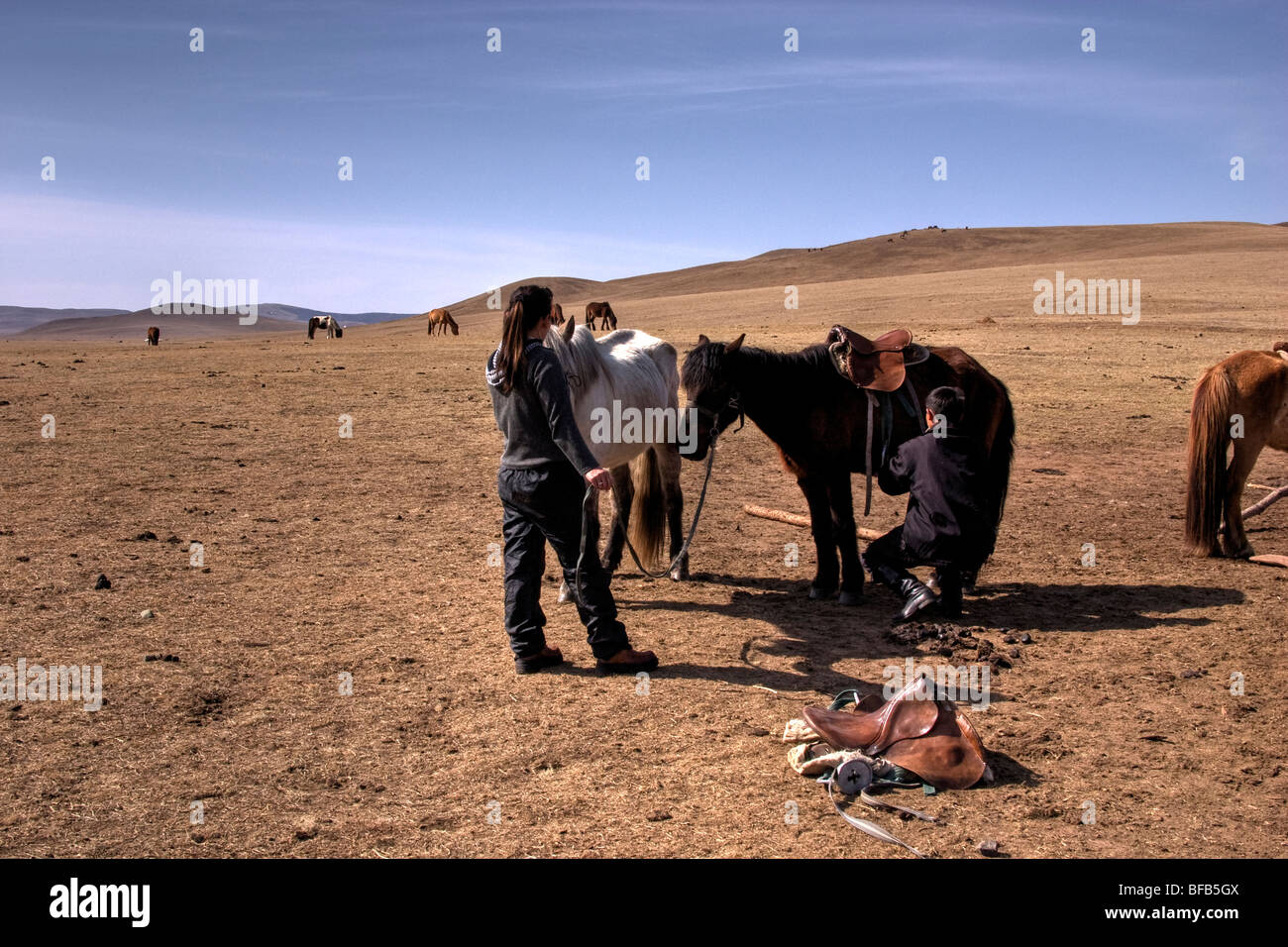 Mongol horsemen hi-res stock photography and images - Alamy