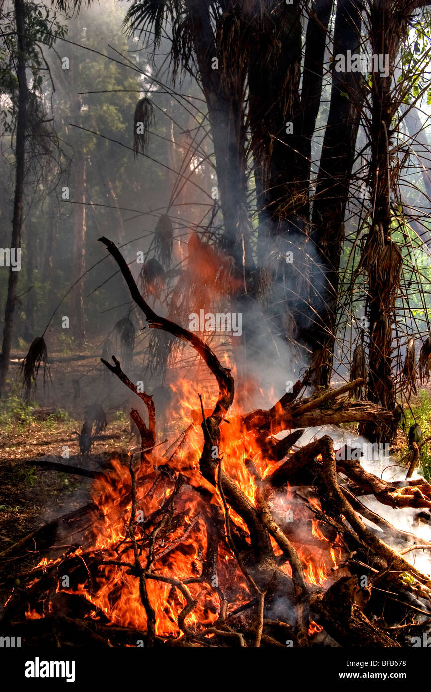Bush fire at kakadu hi-res stock photography and images - Alamy