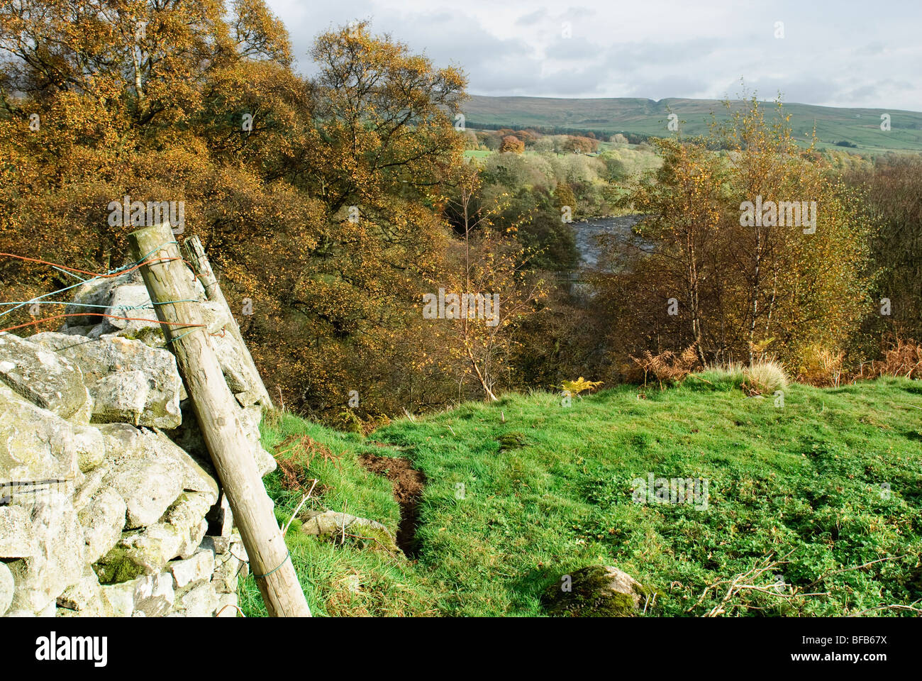 Upper Teesdale in Autumn colours Stock Photo - Alamy
